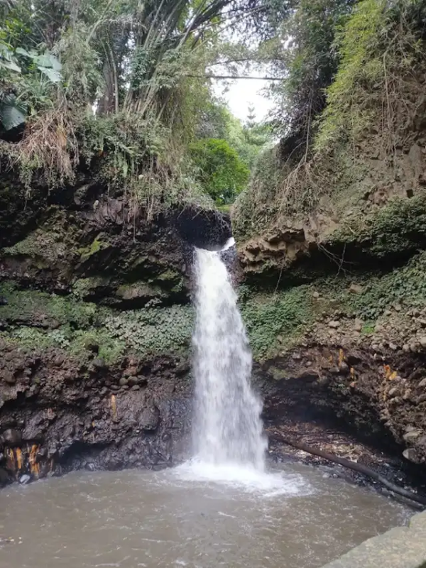 20 Wisata di Dago Bandung dari Jelajah Alam Hingga Cafe Kekinian 2026 ...